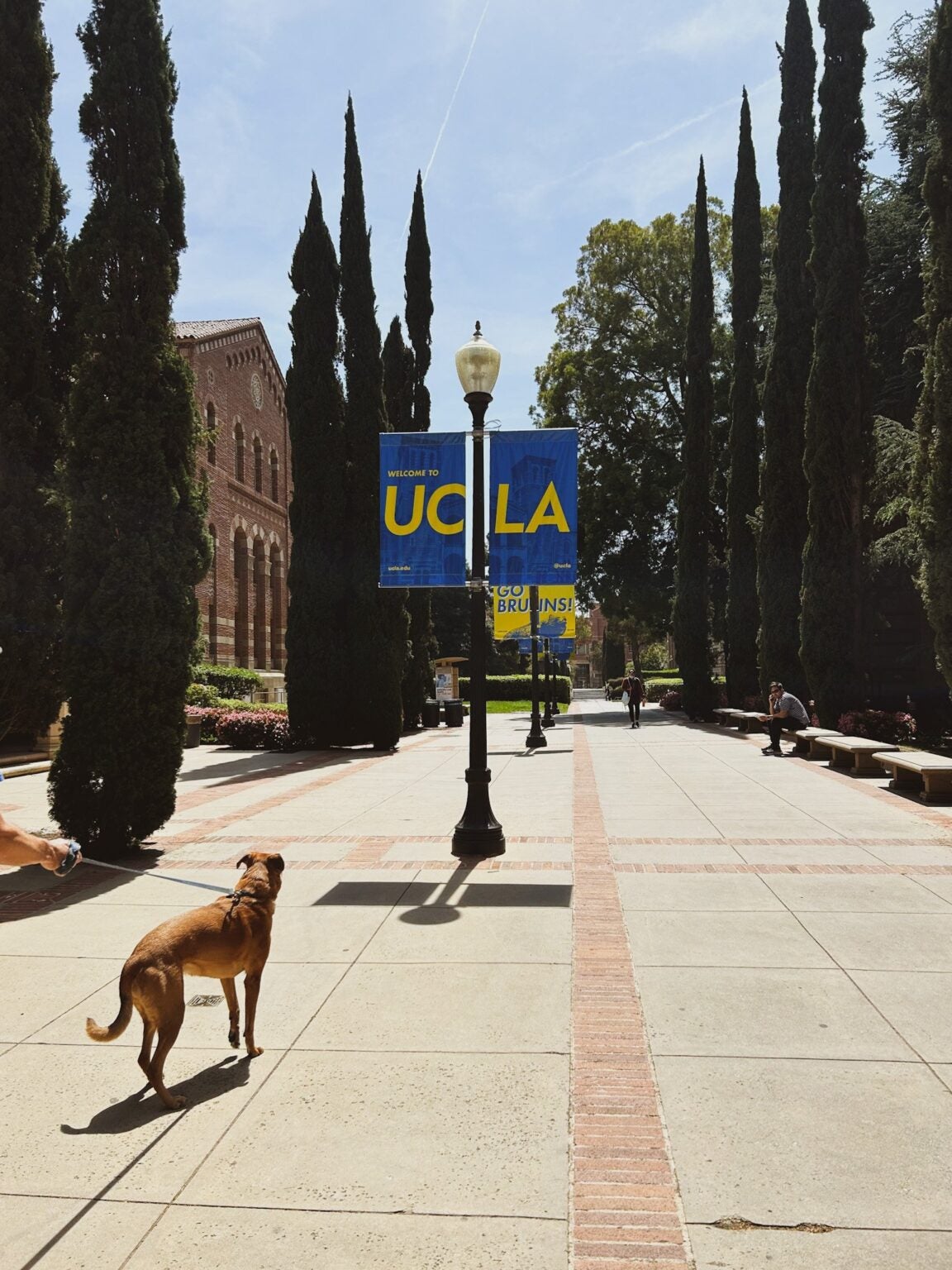 UCLA Bearden lab – Examining Developmental Neuropsychiatric Disorders